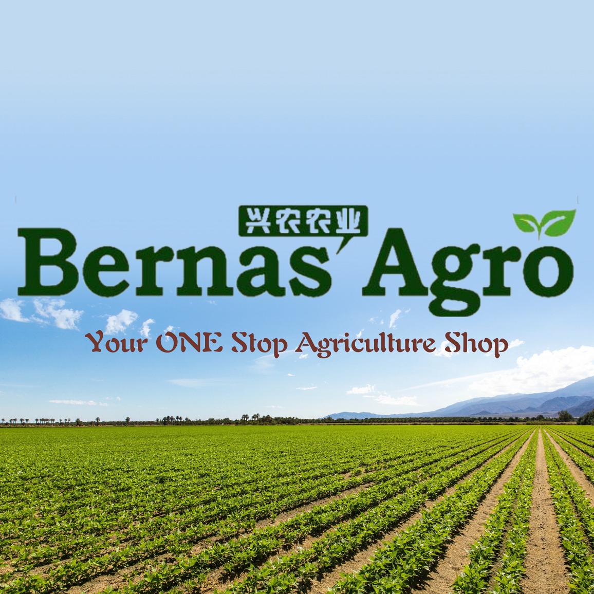 Bernas Agro 兴农农业, Online Shop | Shopee Malaysia