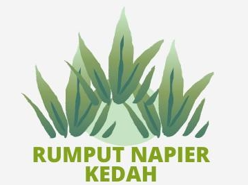 RUMPUT NAPIER MURAH KEDAH agrofarm, Online Shop | Shopee Malaysia