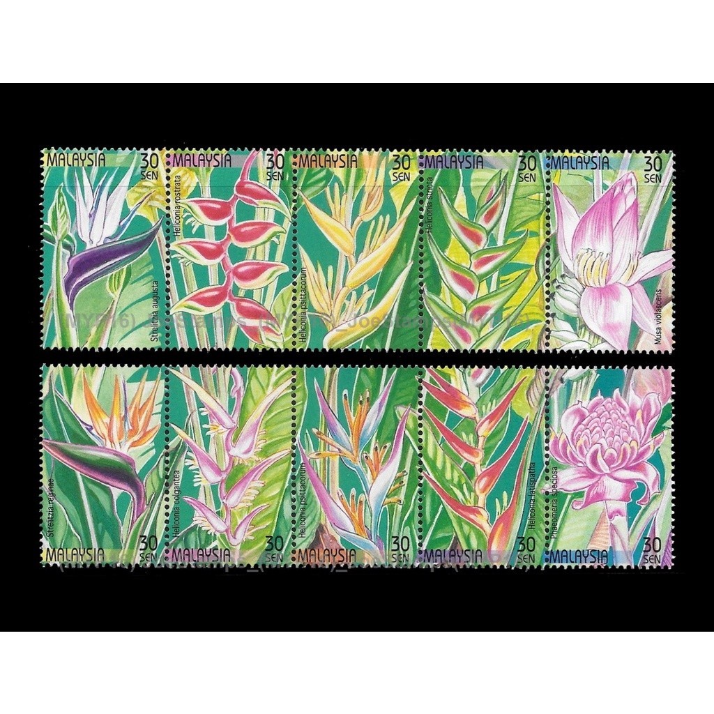 Joe Stamp, Online Shop | Shopee Malaysia