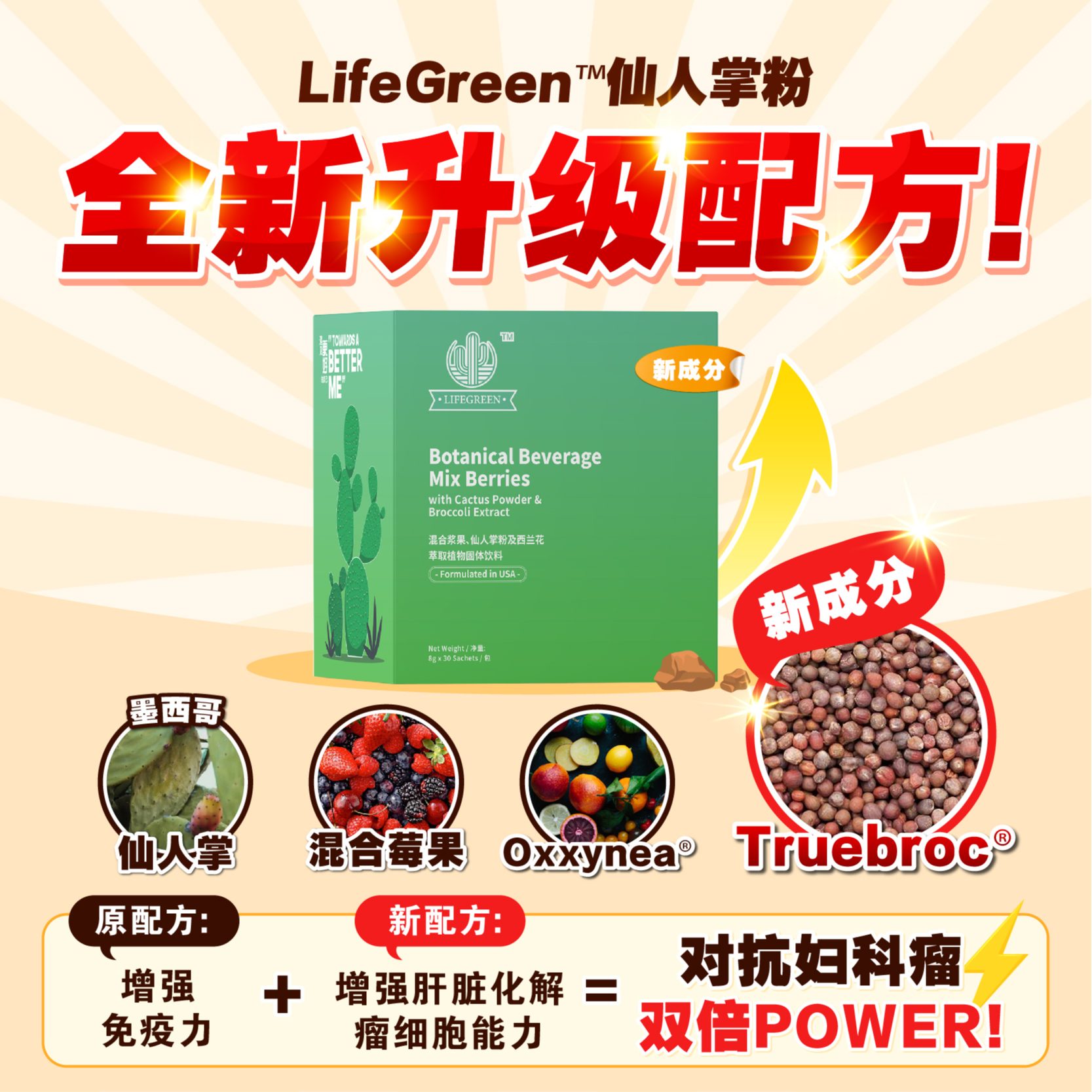 LifeGreen™ Cactus Official Store, Online Shop | Shopee Malaysia