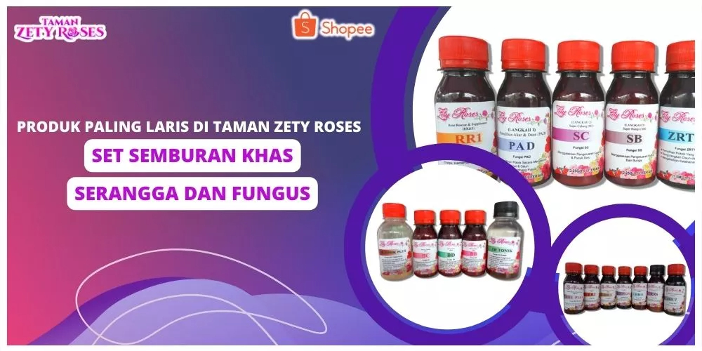 Zety Roses Garden & Farm, Online Shop | Shopee Malaysia
