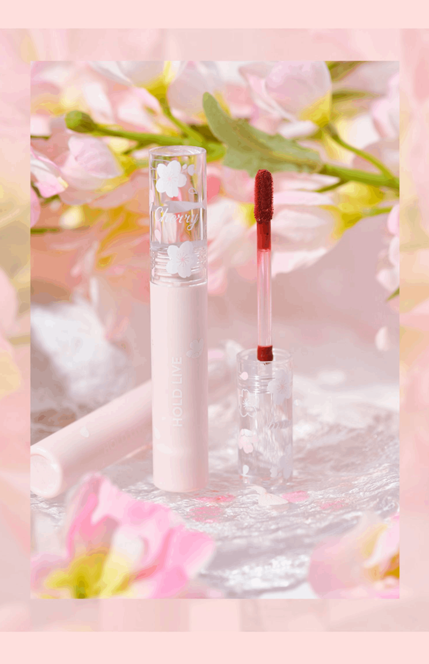 HOLDLIVE Official Online, December 2025 | Shopee Malaysia