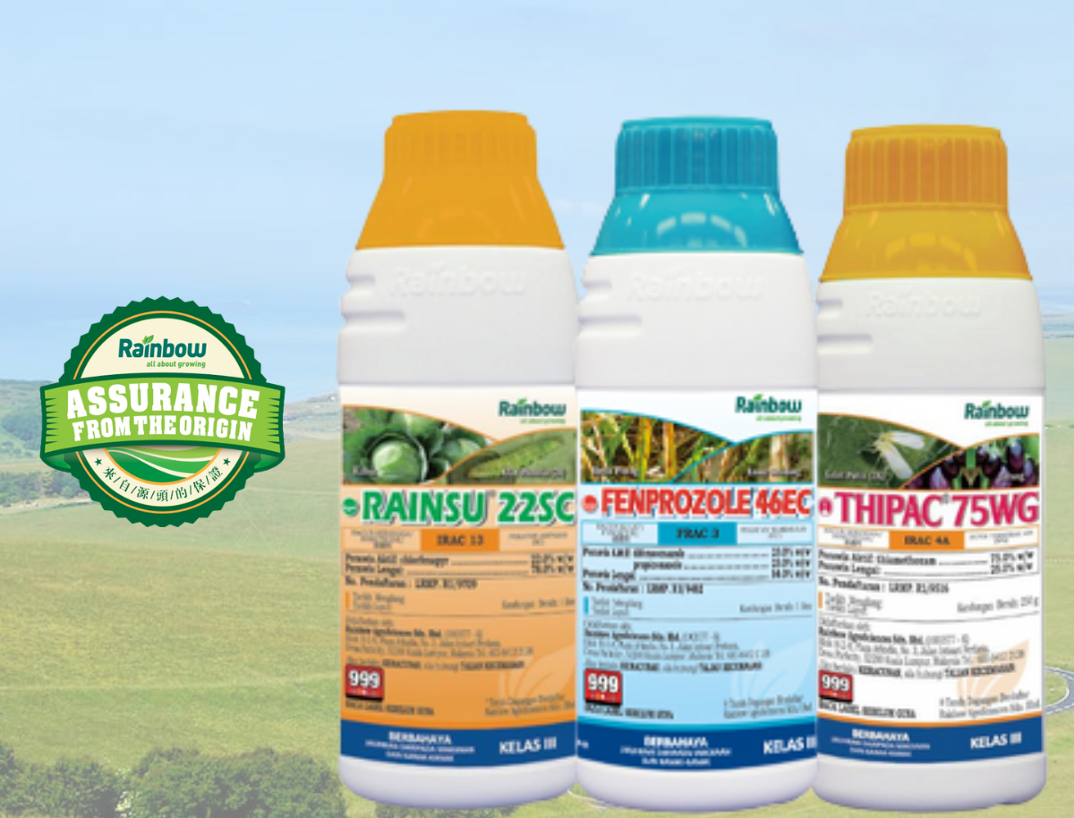 Eng Lam Sdn Bhd, Online Shop | Shopee Malaysia