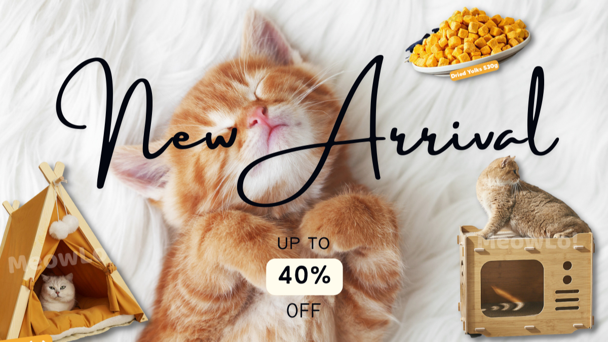 MeowLo!, Online Shop | Shopee Malaysia