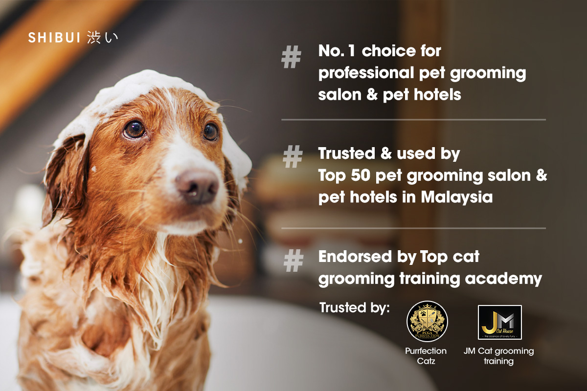 Shibui Official Store Online, July 2024 | Shopee Malaysia