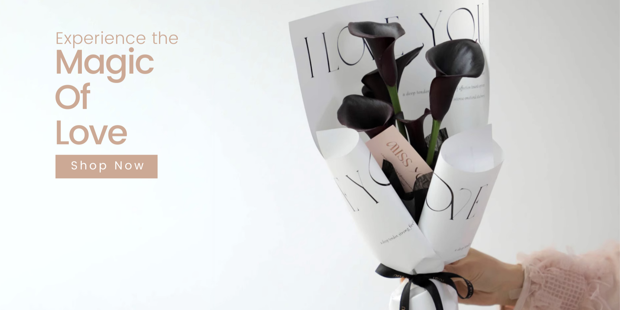 Shiok Collection S/B, Online Shop | Shopee Malaysia