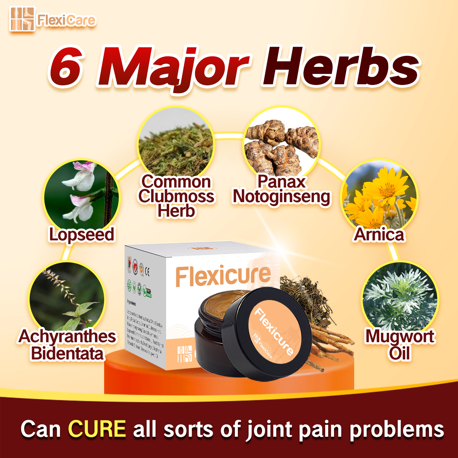 FlexiCare Official Store, Online Shop | Shopee Malaysia