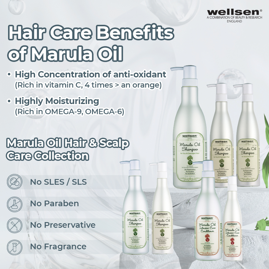 Wellsen Official Store Online, January 2024 | Shopee Malaysia