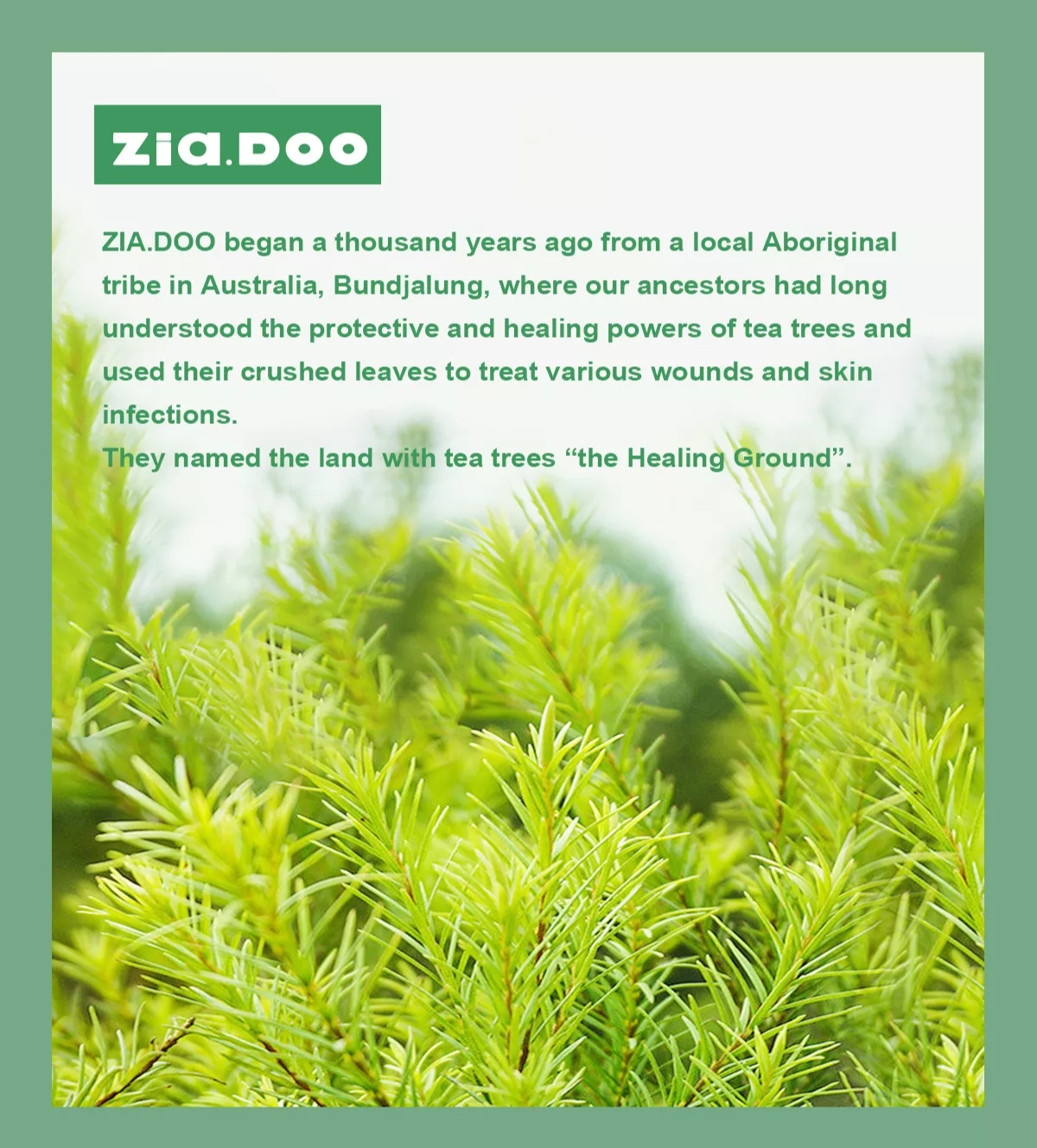 ZIA.DOO Official Store Online, July 2024 | Shopee Malaysia