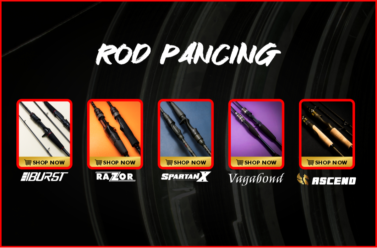 EXP Fishing Official Store Online, January 2024 | Shopee Malaysia