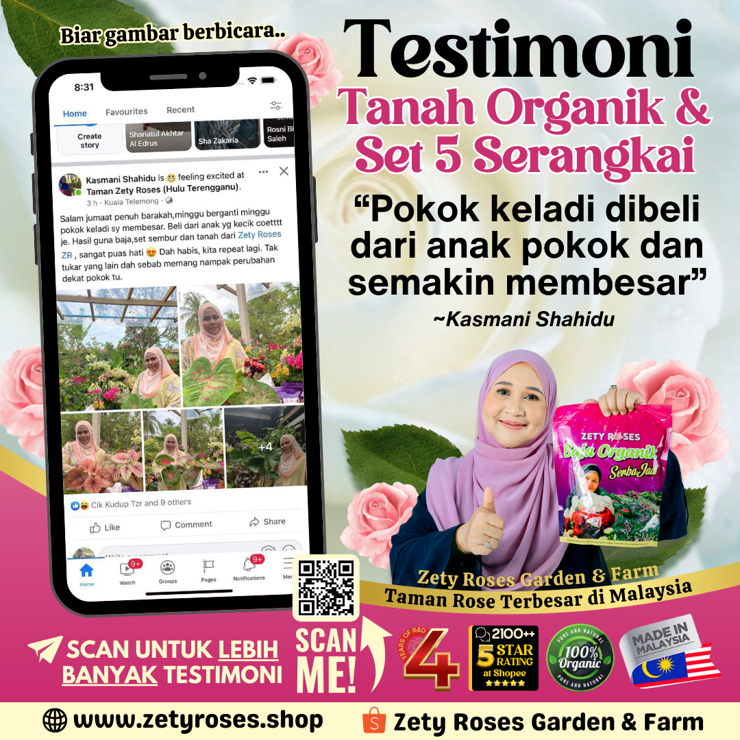 Zety Roses Garden & Farm, Online Shop | Shopee Malaysia