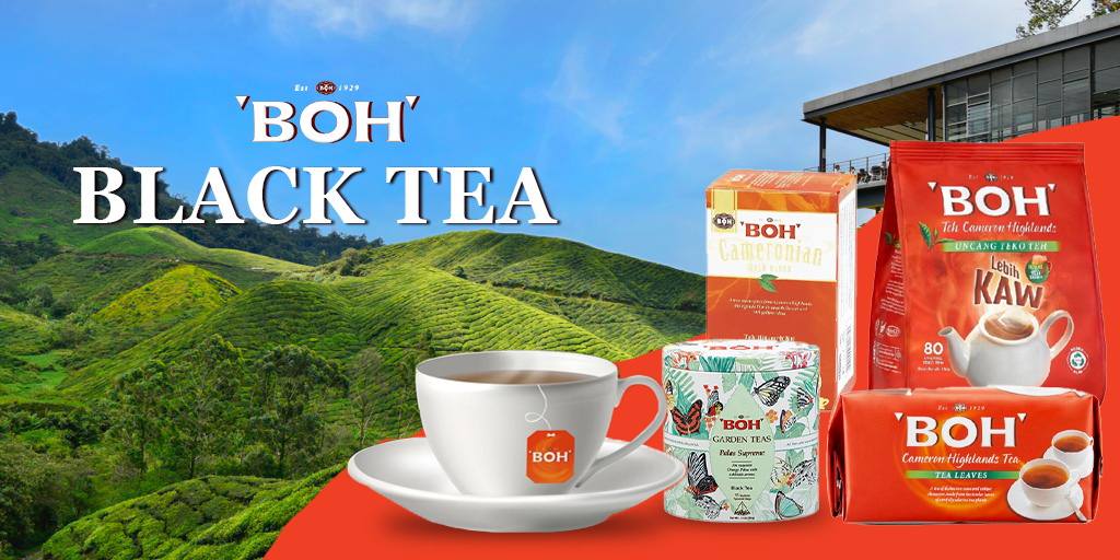 BOH Tea Online, December 2025 | Shopee Malaysia