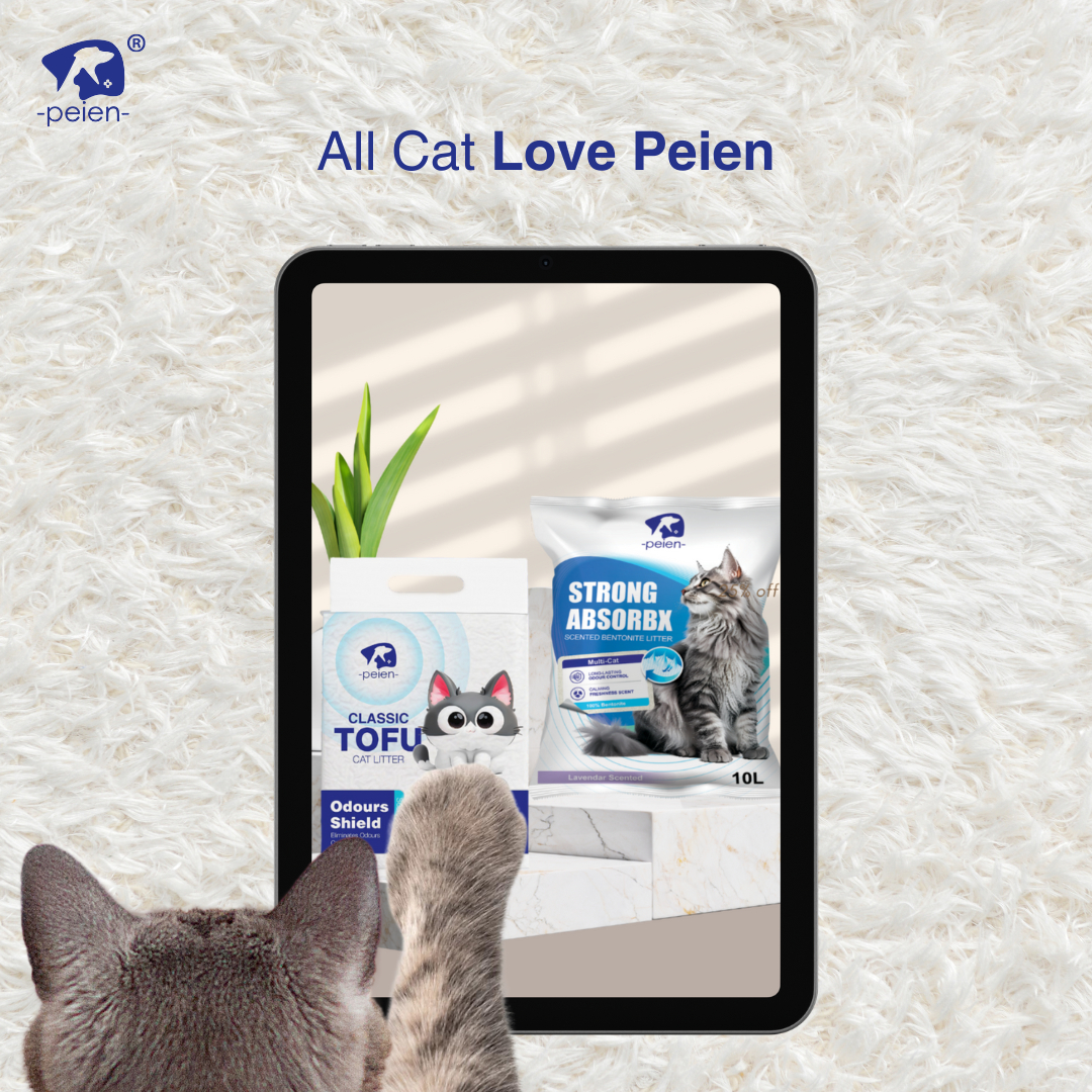 Peien Official Store Online, November 2024 | Shopee Malaysia