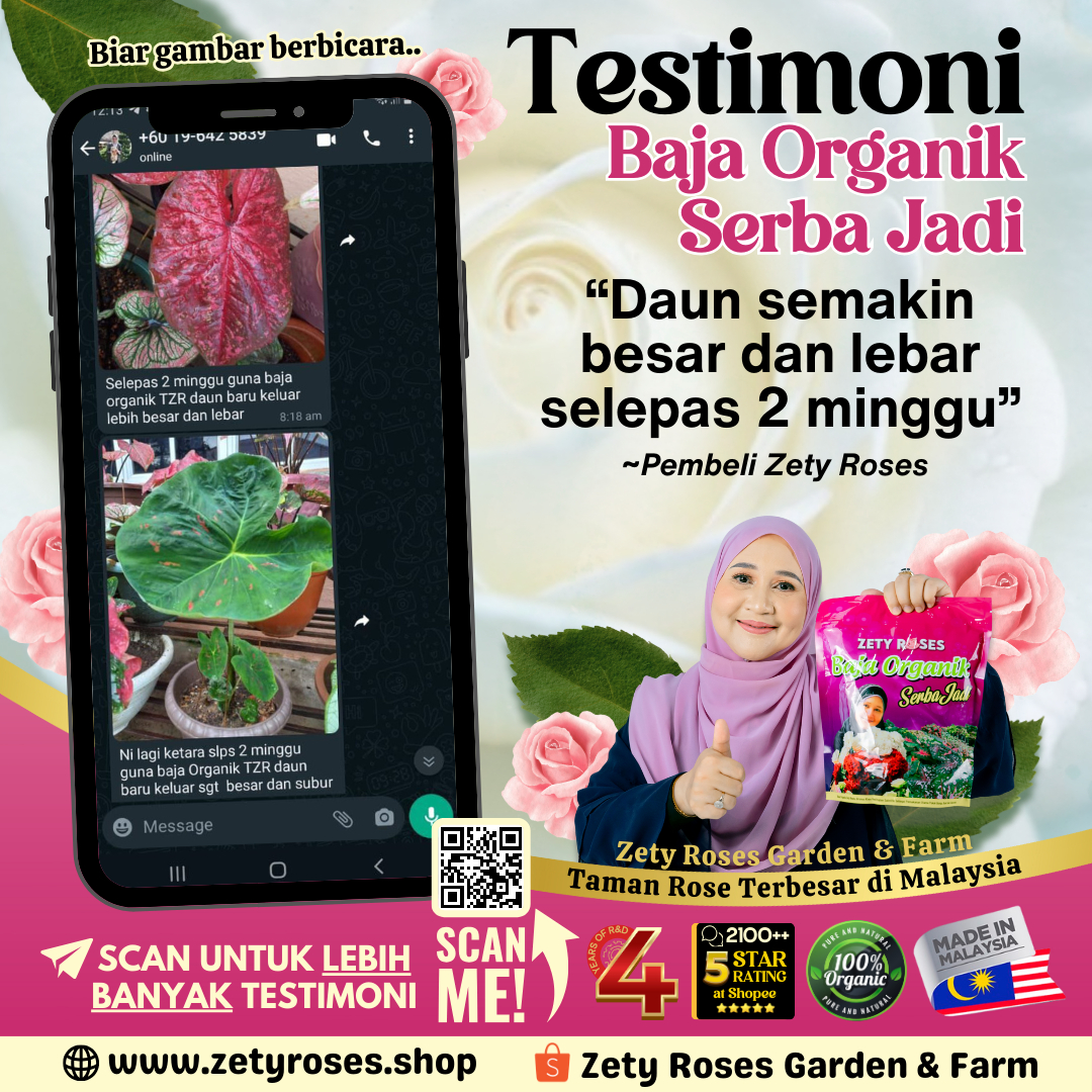 Zety Roses Garden & Farm, Online Shop | Shopee Malaysia