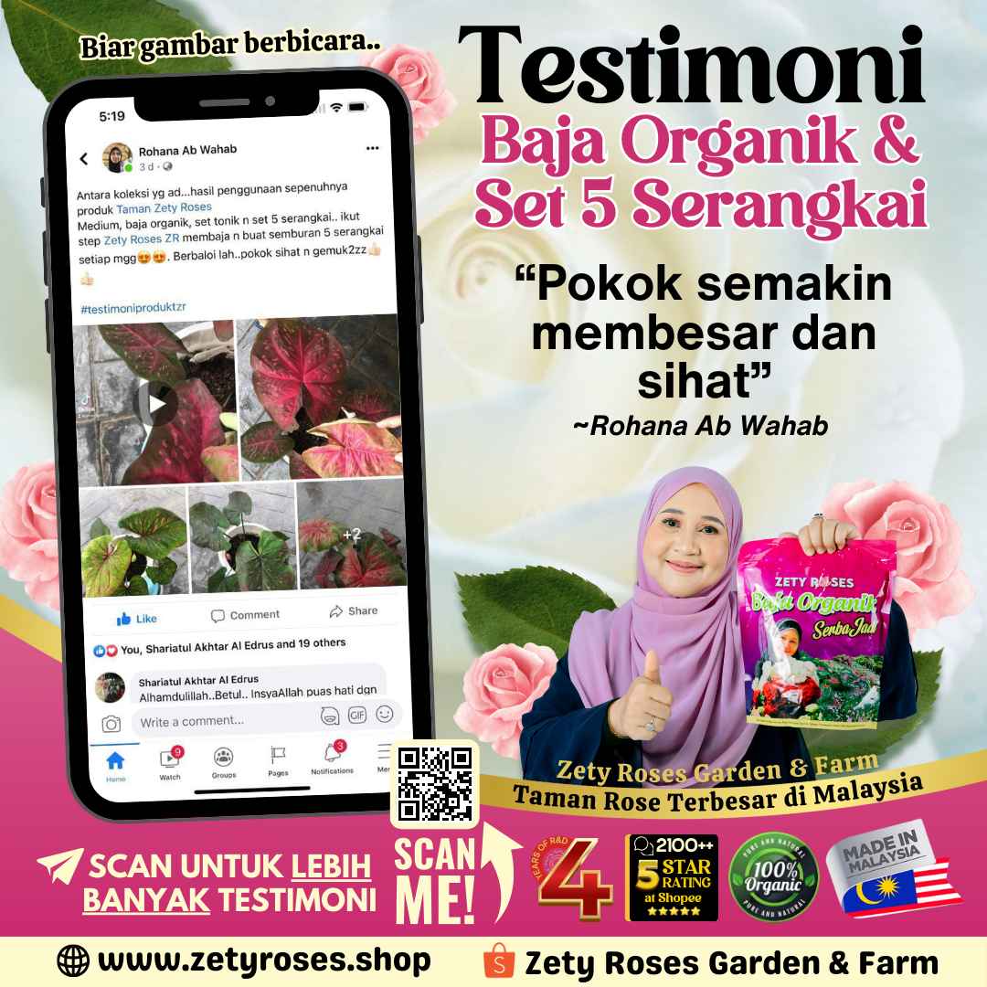 Zety Roses Garden & Farm, Online Shop | Shopee Malaysia