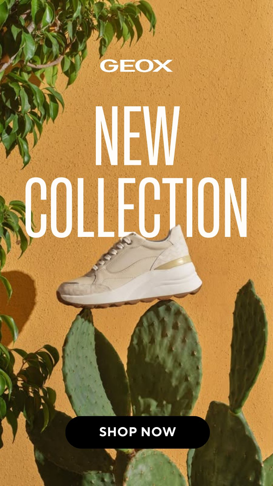 GEOX Malaysia Official Store Online, August 2025 | Shopee Malaysia