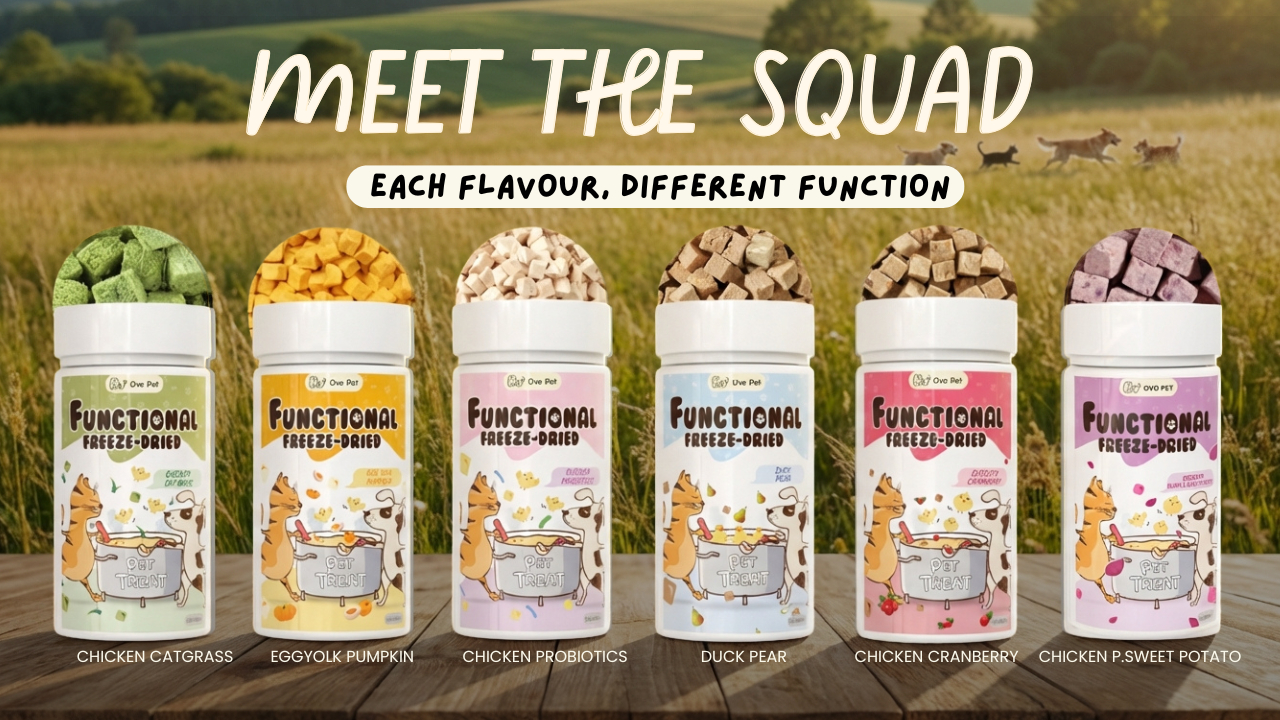 Ovopet.My, Online Shop | Shopee Malaysia