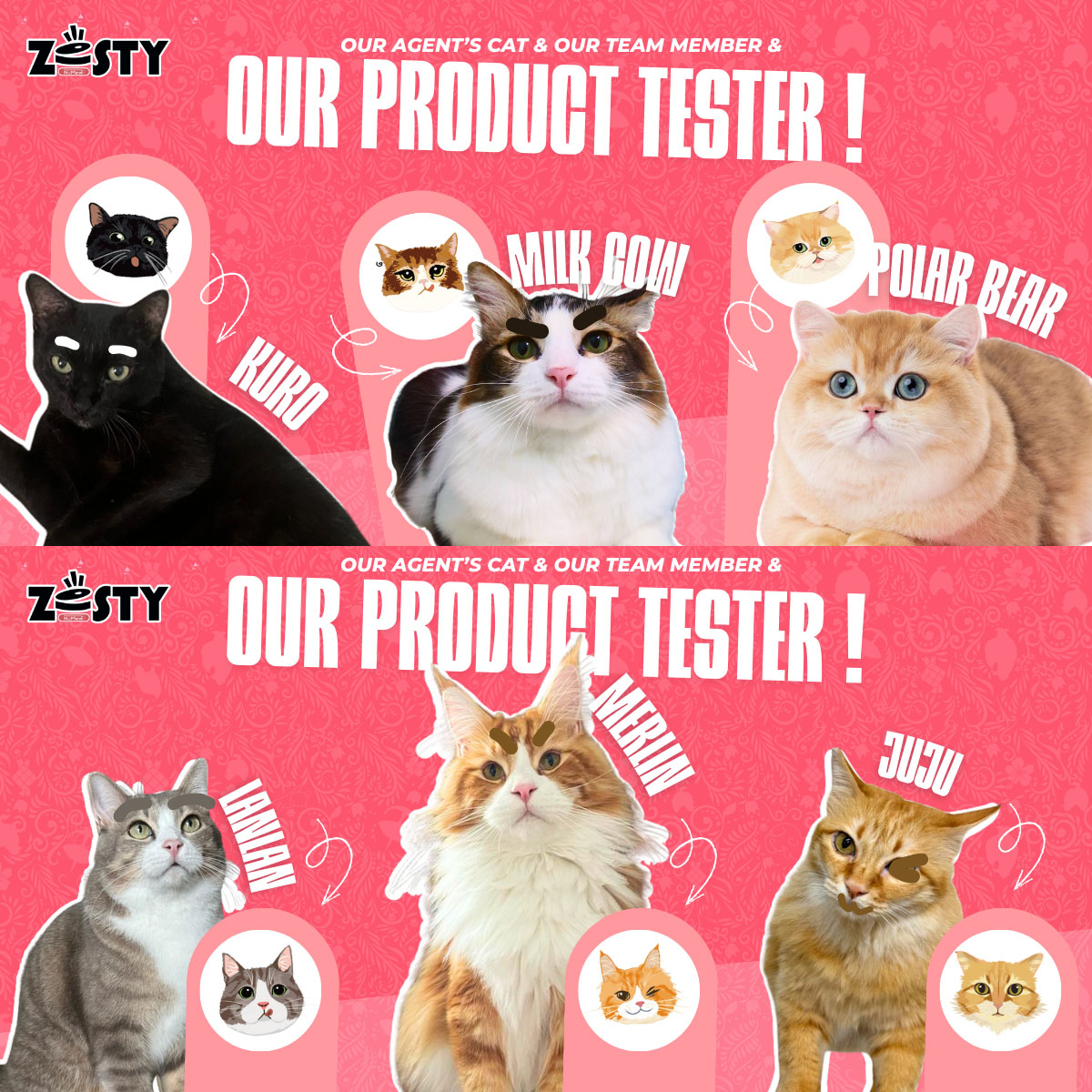 NuMew Official Store, Online Shop | Shopee Malaysia