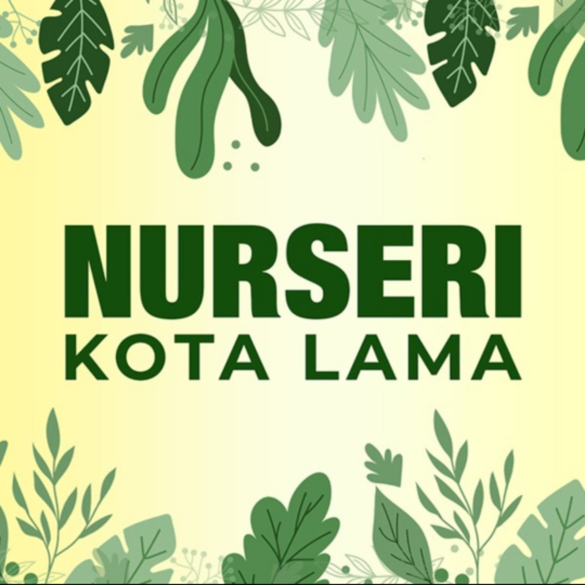NURSERI KOTA LAMA, Online Shop | Shopee Malaysia