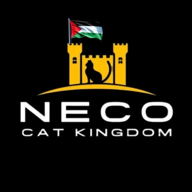 NECO CAT KINGDOM, Online Shop | Shopee Malaysia