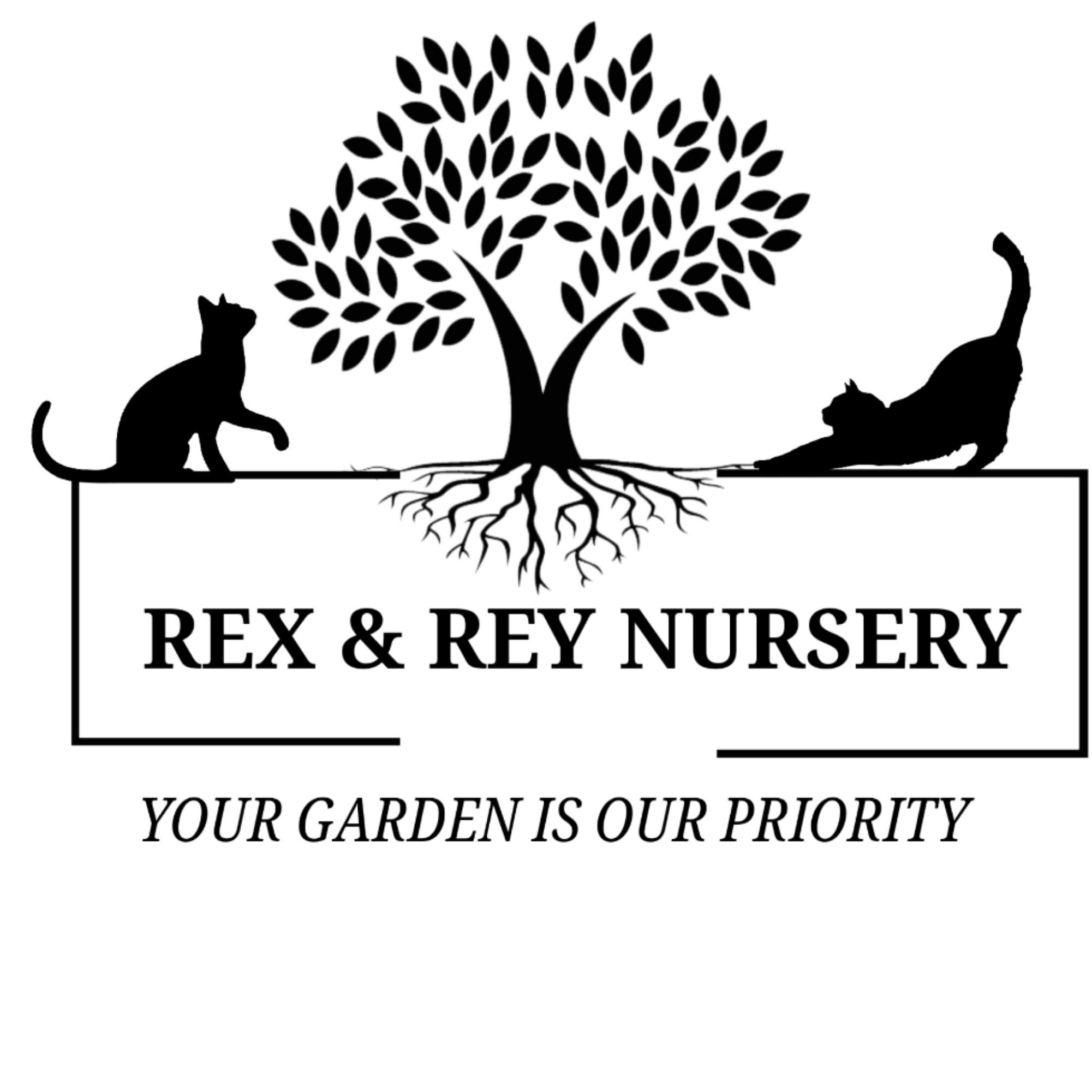 Rex&Rey Nursery, Online Shop | Shopee Malaysia