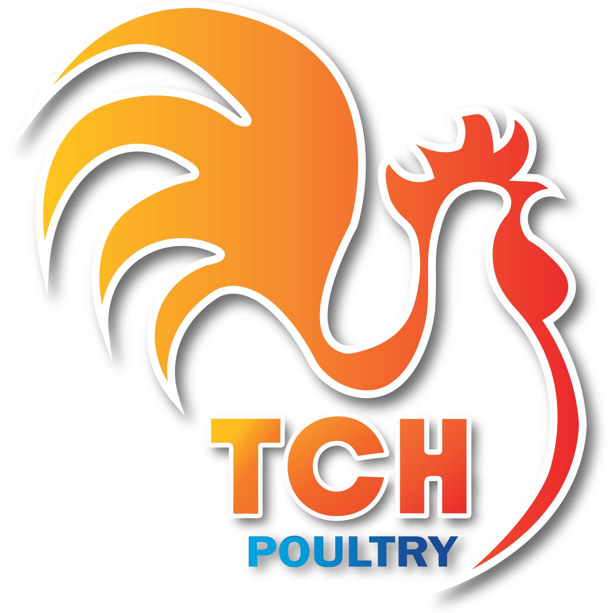 TCH POULTRY, Online Shop | Shopee Malaysia