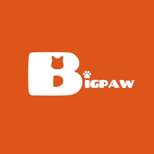 Bigpaw, Online Shop | Shopee Malaysia