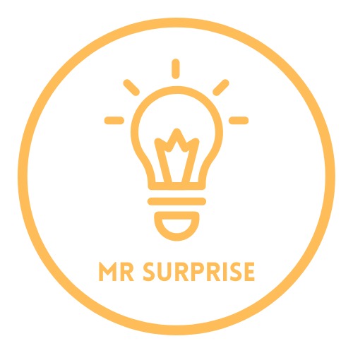 Mr Surprise, Online Shop | Shopee Malaysia