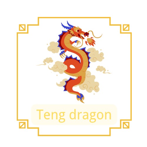Teng Dragon, Online Shop | Shopee Malaysia