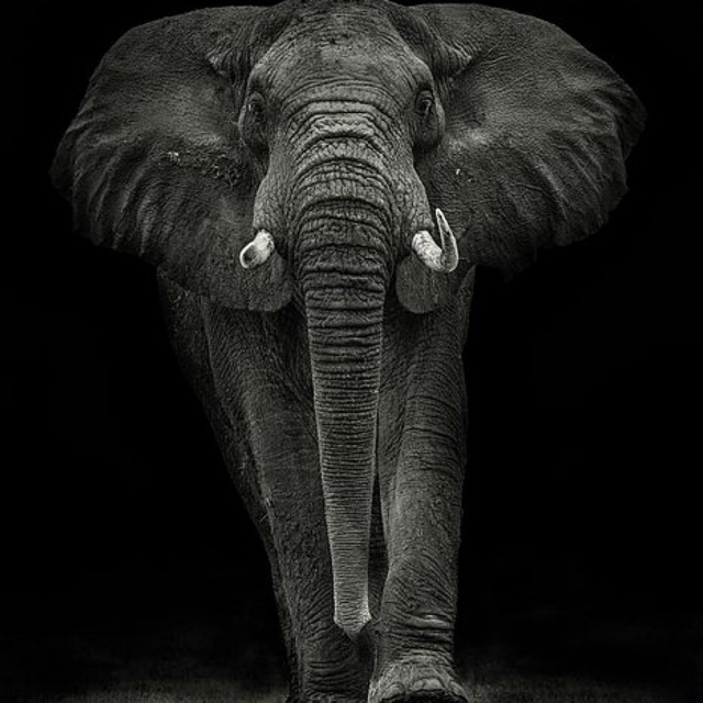 secondchance.my, Online Shop | Shopee Malaysia