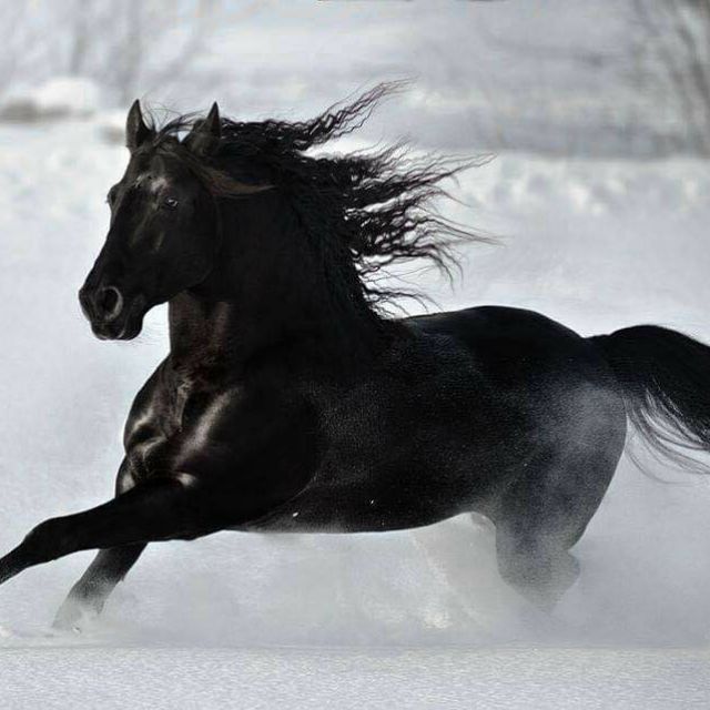 Osman store 09, Online Shop | Shopee Malaysia