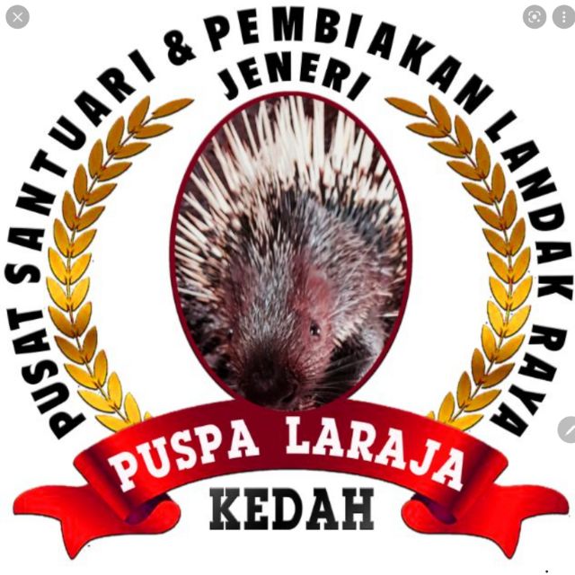 Hq DUNIA LANDAK RAYA kg tala jeneri, Online Shop | Shopee Malaysia