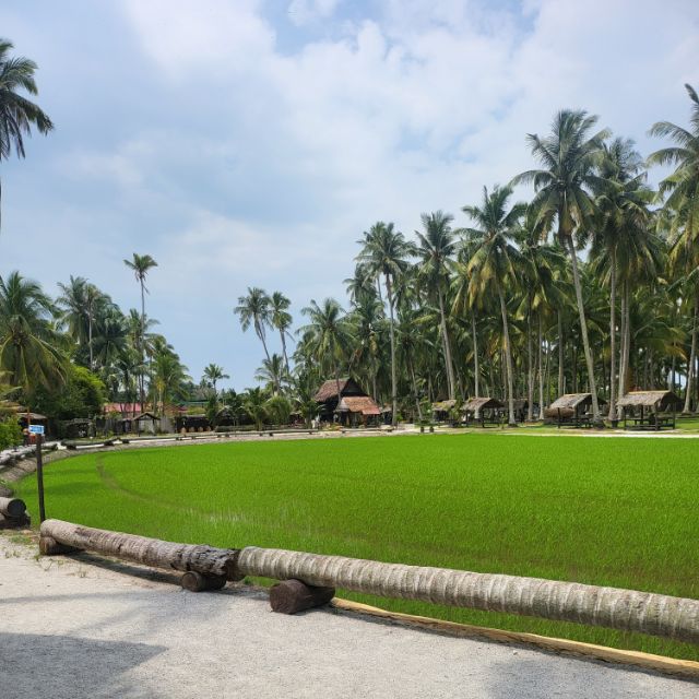 EZY5 Shop, Online Shop | Shopee Malaysia