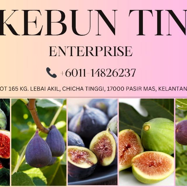 Kebun Tin Enterprise, Online Shop | Shopee Malaysia