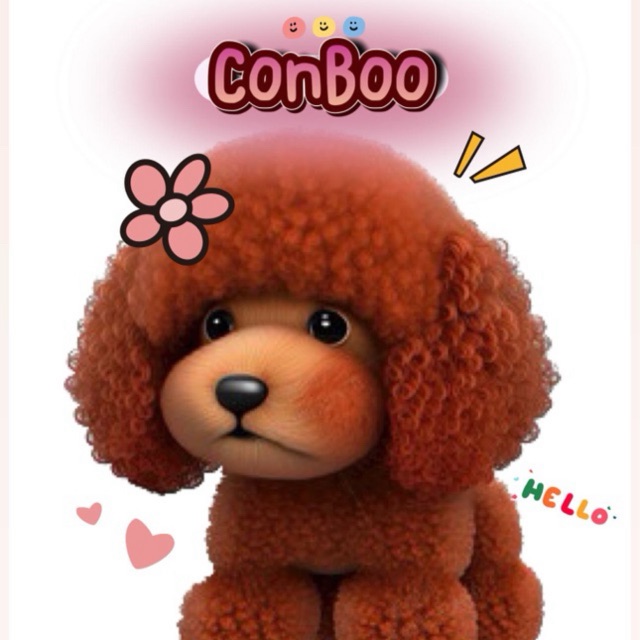 ConBoo, Online Shop | Shopee Malaysia