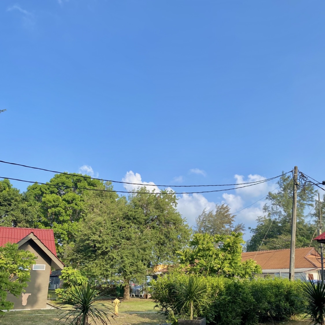 Mini Chopee, Online Shop | Shopee Malaysia